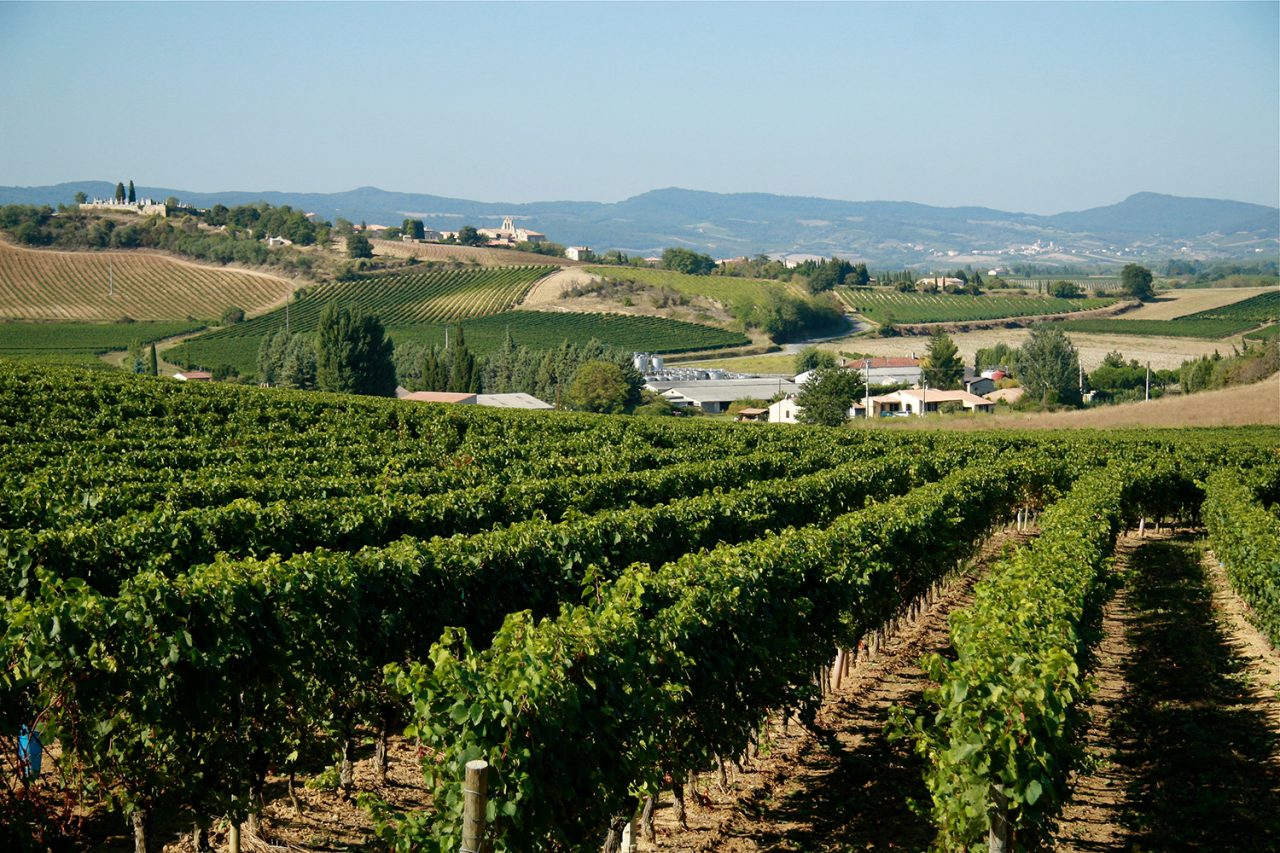 Château Teramas Astruc - Les Domaines Paul Mas